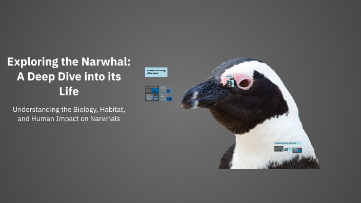 Exploring the Narwhal: A Deep Dive into its Life by Luca Haidu on Prezi