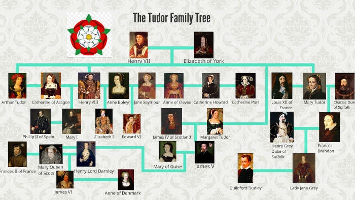 The Tudor Family Tree by Andrew Coles on Prezi