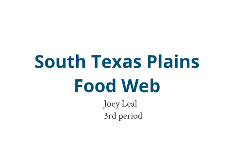 South Texas Plains Food Web by Jessie Leal on Prezi