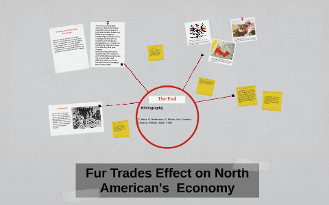 Fur Trades Effect on North American's Economy by hailey shaver on Prezi