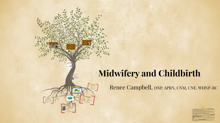 Midwifery and Childbirth by Renee Campbell on Prezi