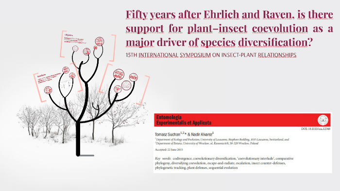 Fifty years after Ehrlich and Raven, is there support for pl by ...