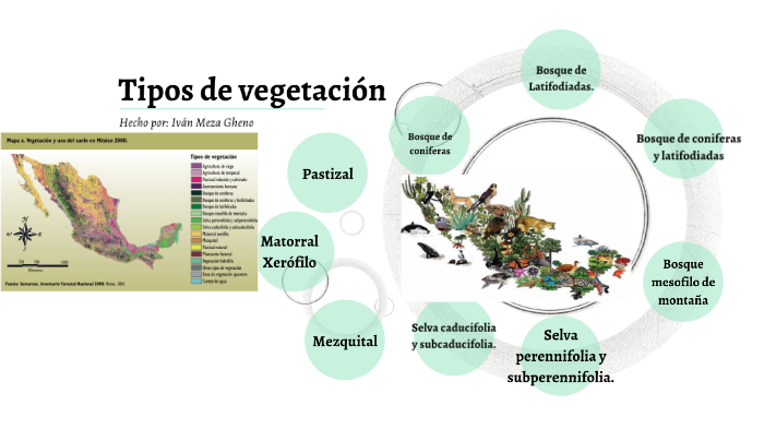 Vegetación de México (Biomas) by Iván Meza Gheno on Prezi