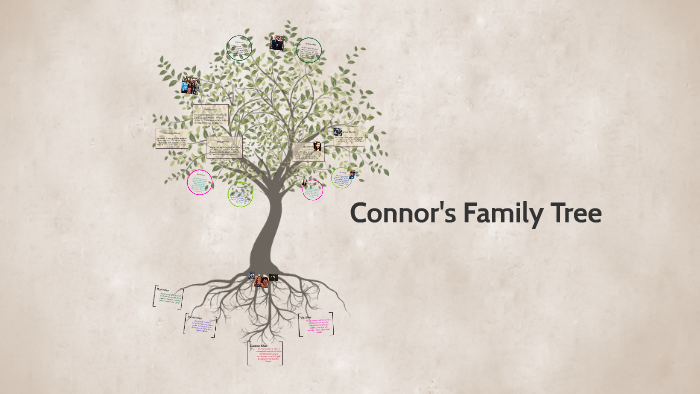 Connor Family Tree by Connor Sher on Prezi