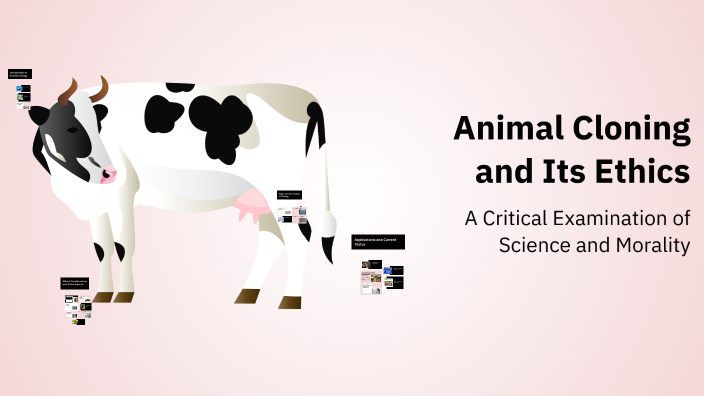 Animal Cloning and Its Ethics by Abcd 123 on Prezi