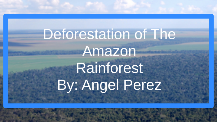 Human Impact on the Amazon Rainforest by Lisa Taylor on Prezi