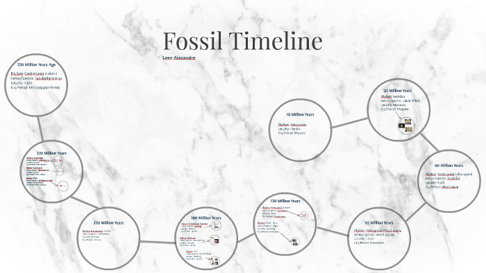 Fossil Timeline by Carter S. on Prezi