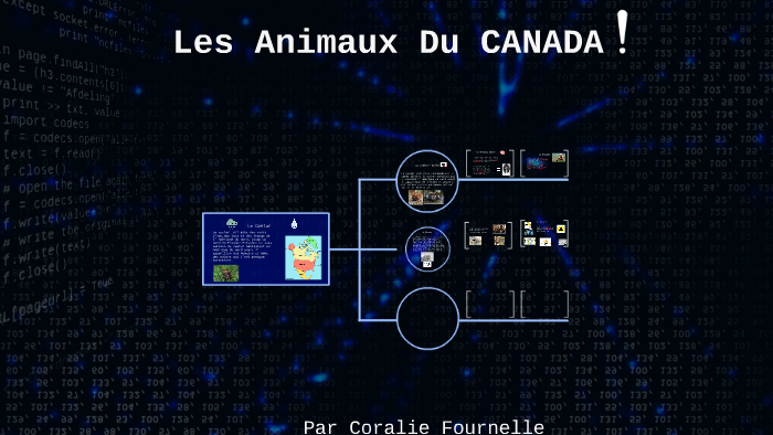 Les Animaux Du CANADA by Groupe56 Sagard