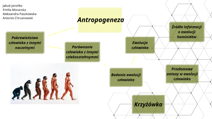 Antropogeneza by Jakub Jarońo on Prezi