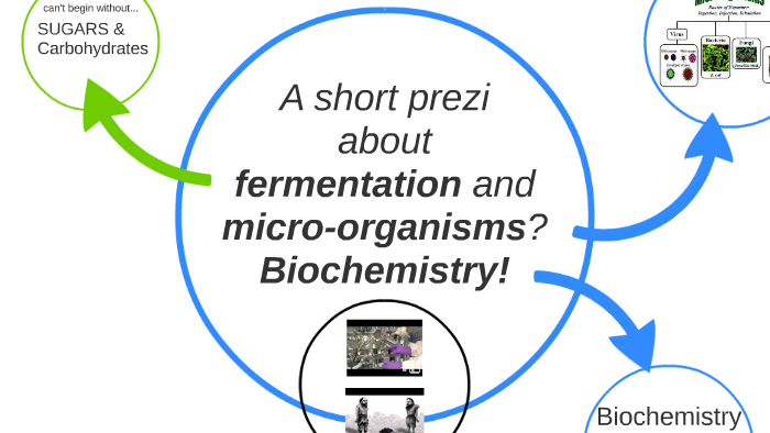 biochemistry: microorganisms and fermentation by Kelli Horner on Prezi