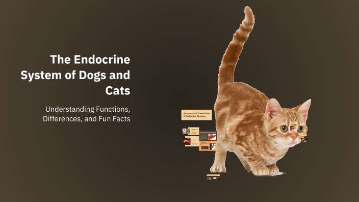 The Endocrine System of Dogs and Cats by myla mustian on Prezi