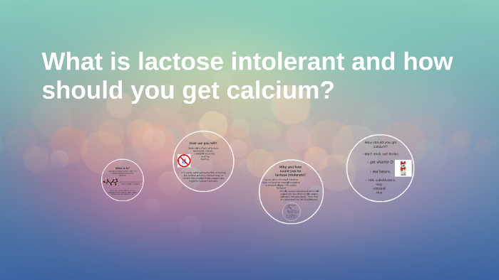 What is lactose intolerant and how should you get calcium? by Marissa ...