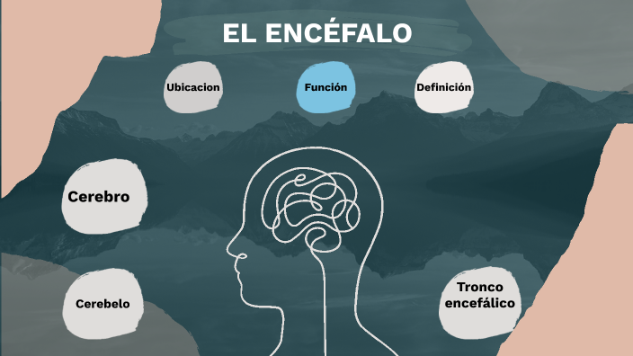 Encéfalo Sistema Nervioso Central by YAHANIS JEZIER BATISTA RIVERA on Prezi