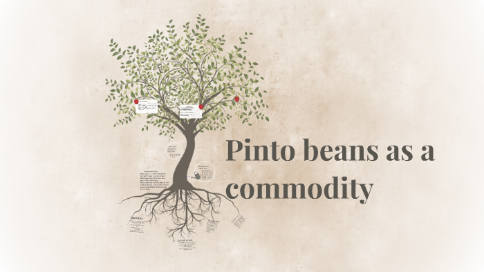 Pinto beans as a commodity by Gabrielle Rodriguez