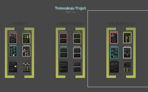 Homeostasis project by Difa Alifia on Prezi