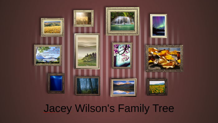 Jacey Wilson's Family Tree by Jacey Wilson on Prezi