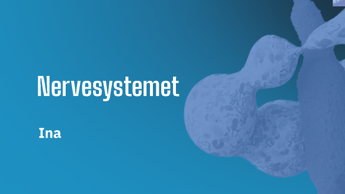 Nervesystemet i Kroppen by Ina Mustafa on Prezi