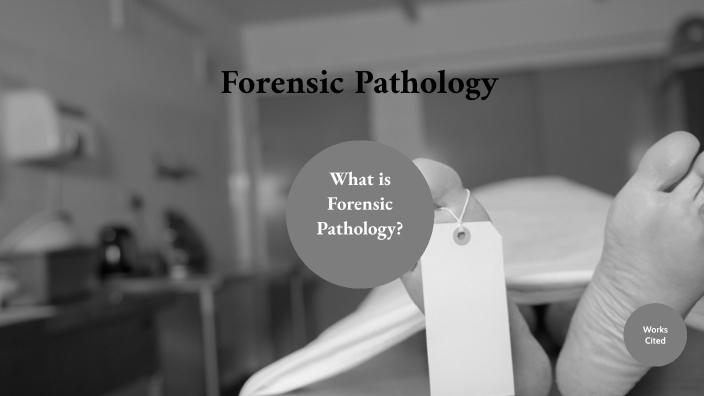 Forensic pathology by Alessandra Montenegro on Prezi