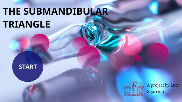 Submandibular triangle by Luca Sgarrino on Prezi