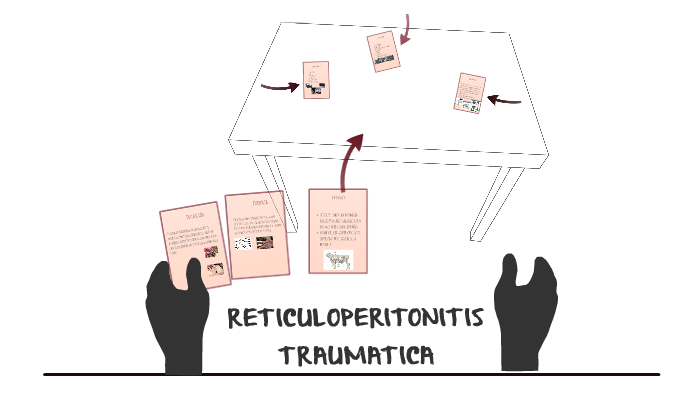 RETICULOPERITONITIS TRAUMATICA by Danae Sandoval