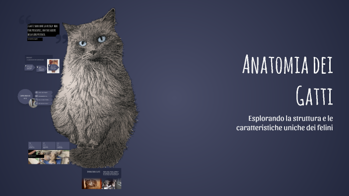 Anatomia dei Gatti by Denis Larini on Prezi