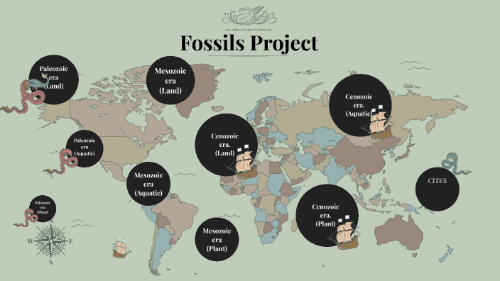 Fossils Project by Yamil Trejo on Prezi