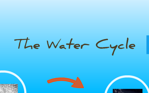 The Water Cycle by Megan Despard