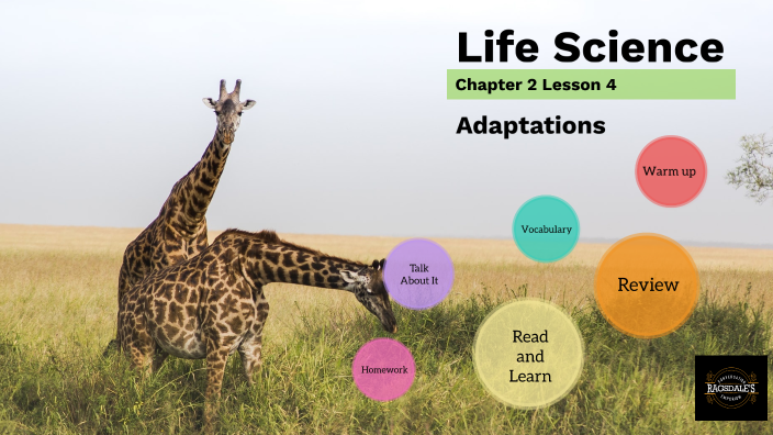 SCIG4 9 Chapter 2: Lesson 4 (Adaptations) by Silasee Breath on Prezi