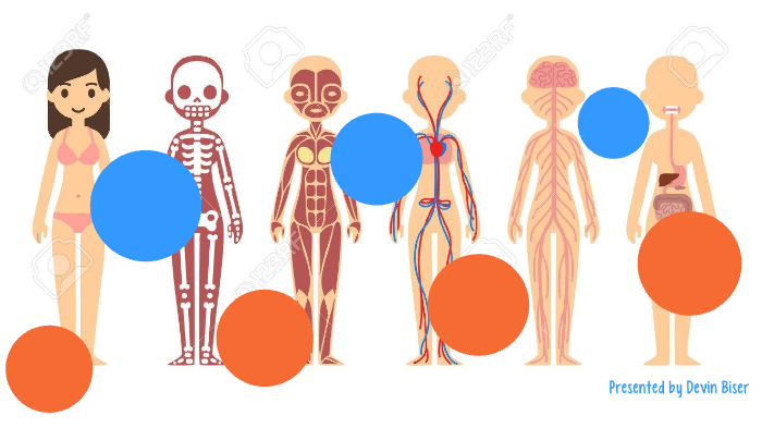 Progressice Muscular Dystrophy by Devin Biser on Prezi