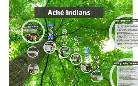Ache Indians by prezi creater on Prezi