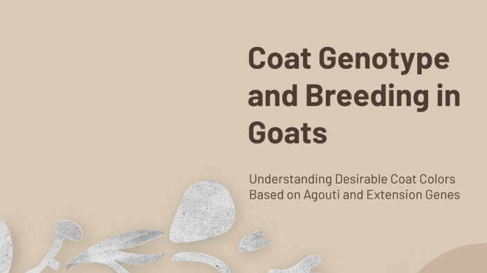 Coat Genotype and Breeding in Goats by Erin Davis on Prezi
