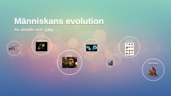 Människans evolution by Josefin Hero on Prezi