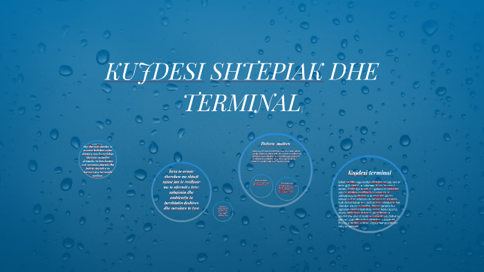 KUJDESI SHTEPIAK DHE TERMINAL by Ardit Meha on Prezi