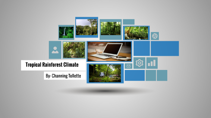 Tropical Rainforest climate by Channing Tollette on Prezi