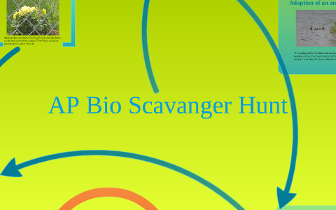 AP Biology Scavenger Hunt by Ben Villella on Prezi