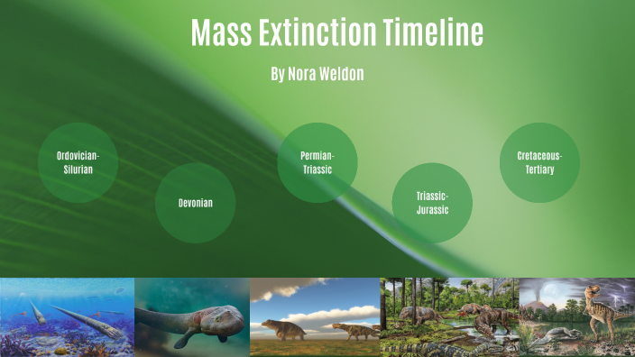 Mass Extinction Timeline (IB Environmental) by Nora Weldon on Prezi