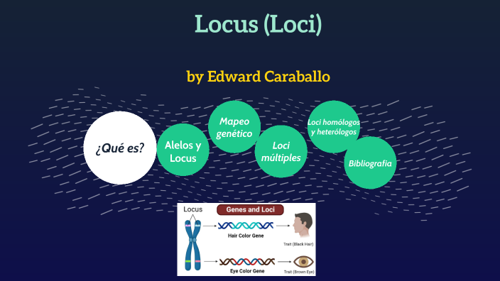 Locus by Edward Caraballo on Prezi