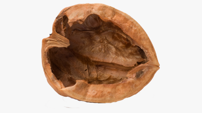 Life in a Nutshell by J K on Prezi