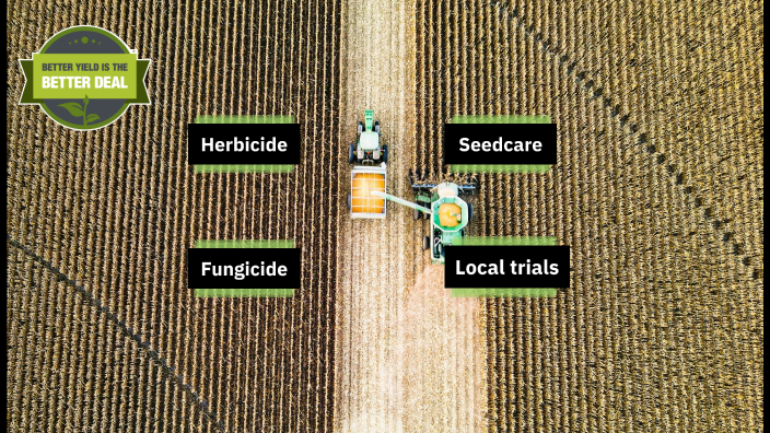 BYBD by Dane Knudsen on Prezi