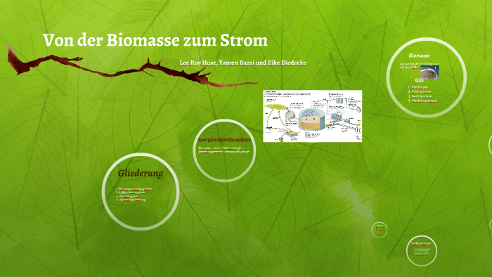 Von der Biomasse zum Strom by Eike von Biogas