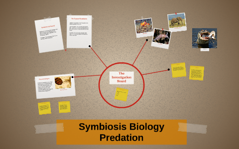 Symbiosis Biology Predation by Makai J. Melville on Prezi