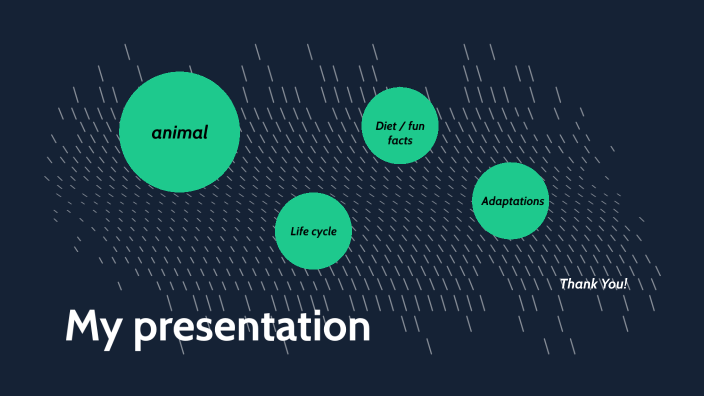 Red panda by daire malone on Prezi