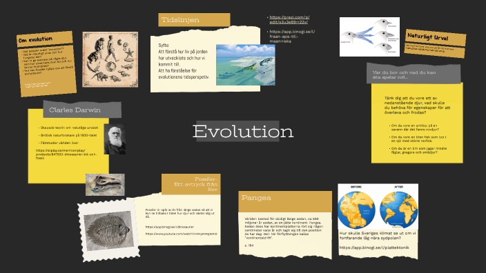 Evolution by sandra lien on Prezi