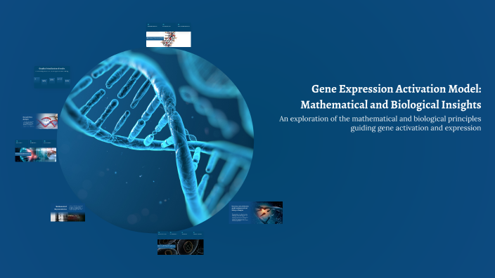 Gene Expression Activation Model: Mathematical and Biological Insights ...