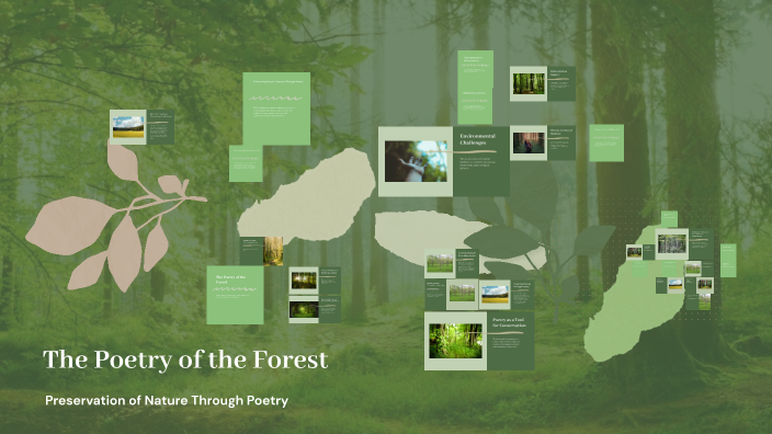 The Poetry of the Forest by Nadia Valmorin on Prezi