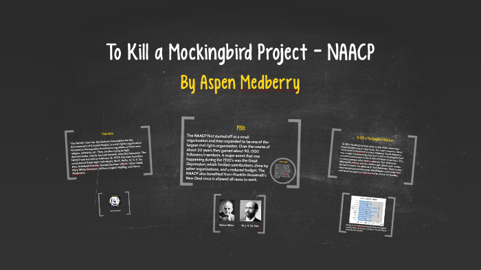To Kill a Mockingbird Project - NAACP by Aspen Medberry on Prezi