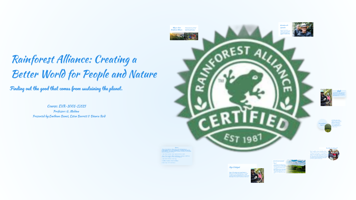 Rainforest Alliance: Protecting Forests and Livelihoods by Emiliana ...