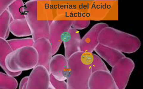 Bacterias del Ácido by Elizabeth Olguin on Prezi