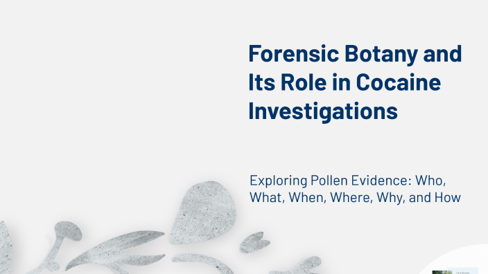 Forensic Botany and Its Role in Cocaine Investigations by OTILIA ...