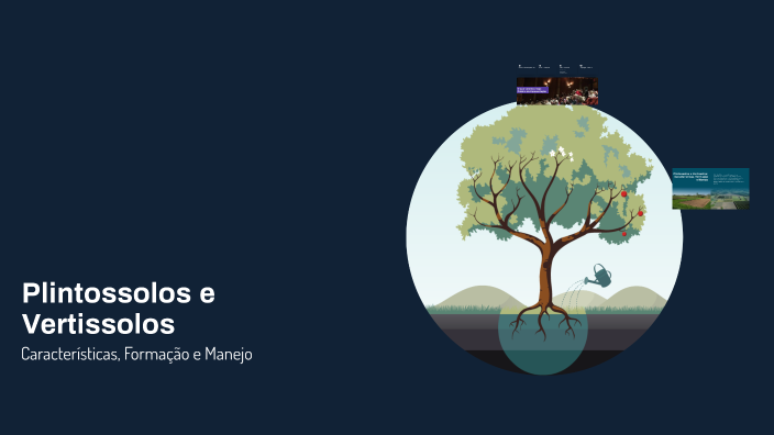 Plintossolos e Vertissolos by Fábio Júnior Marafom on Prezi